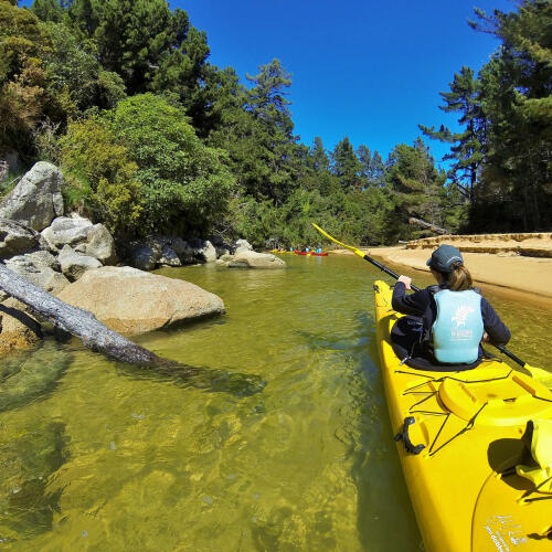 Try kayaking and take a cruise with Wilsons Abel Tasman