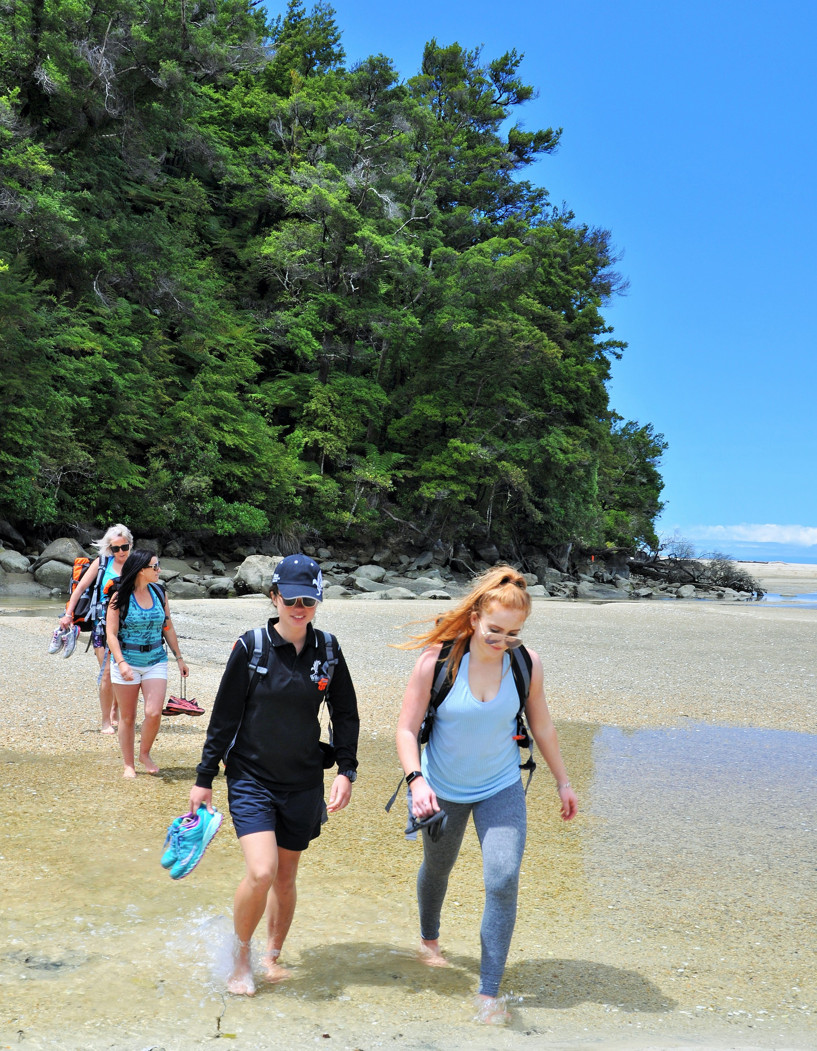 Guided Day Walk - Wilsons Abel Tasman